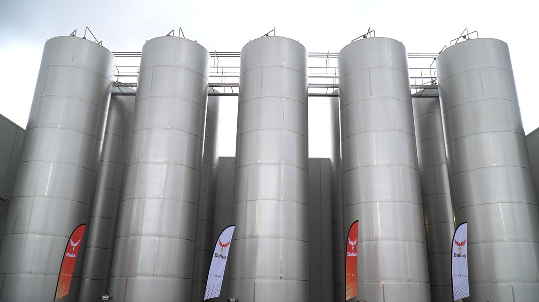 Symborg opens factory and launches Balius, an innovative and ...