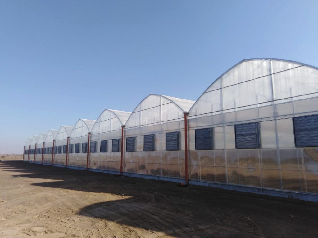 Greenhouses with two cultivation sectors and cooling system – Agritech