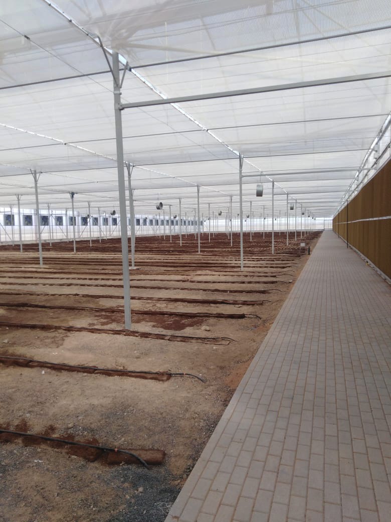 Greenhouses with two cultivation sectors and cooling system – Agritech