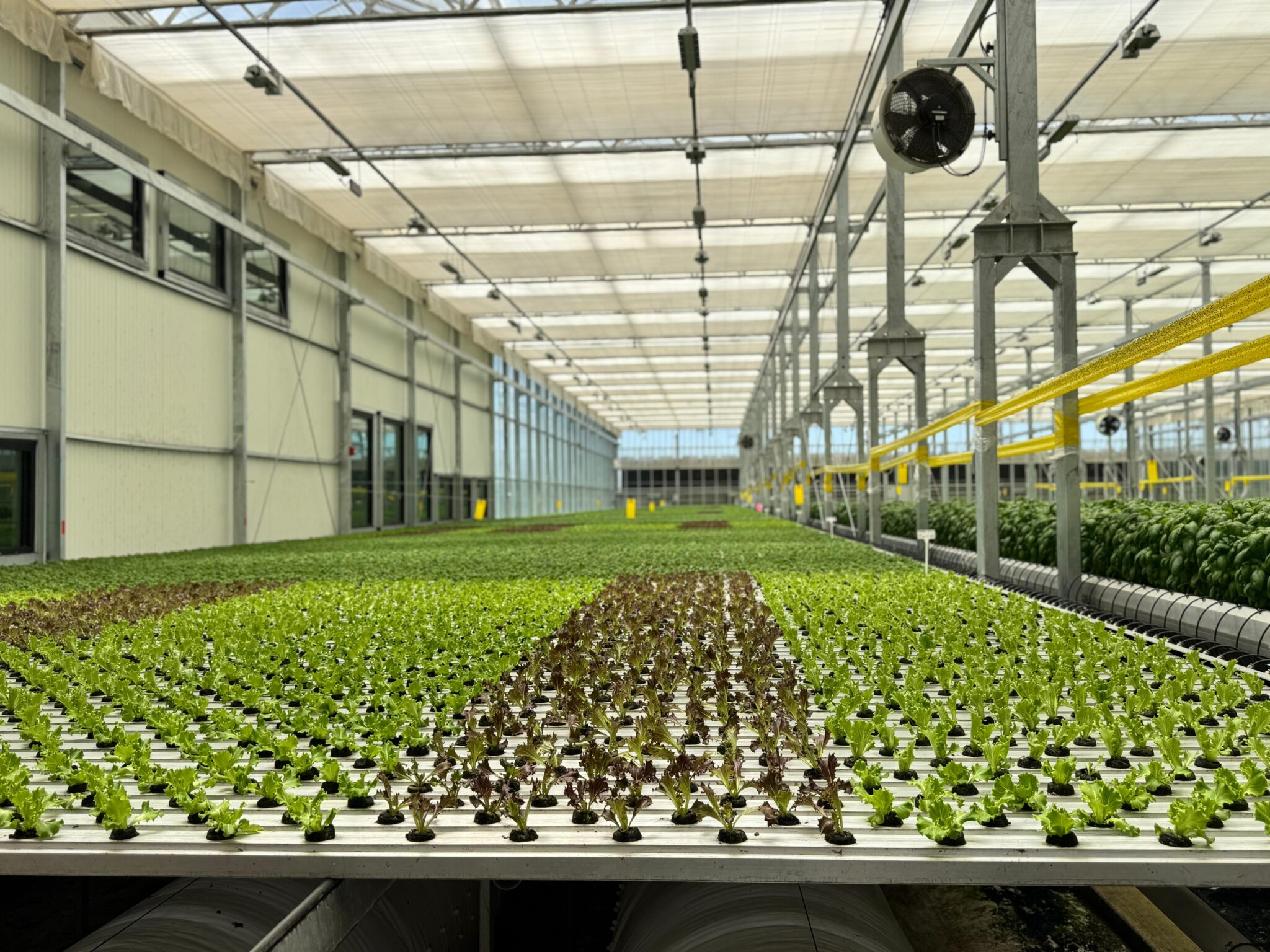Agritech – Alta tecnología agrícola